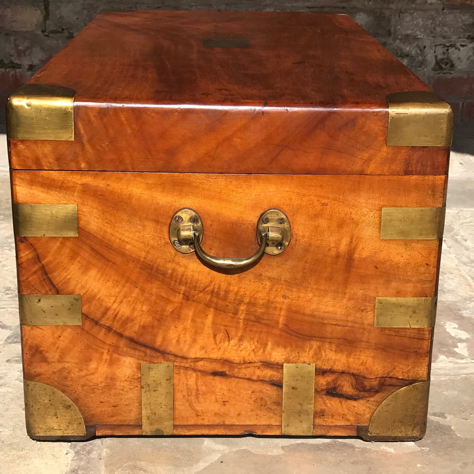 19th Century Camphor Wood Campaign Trunk – Hobson May Collection